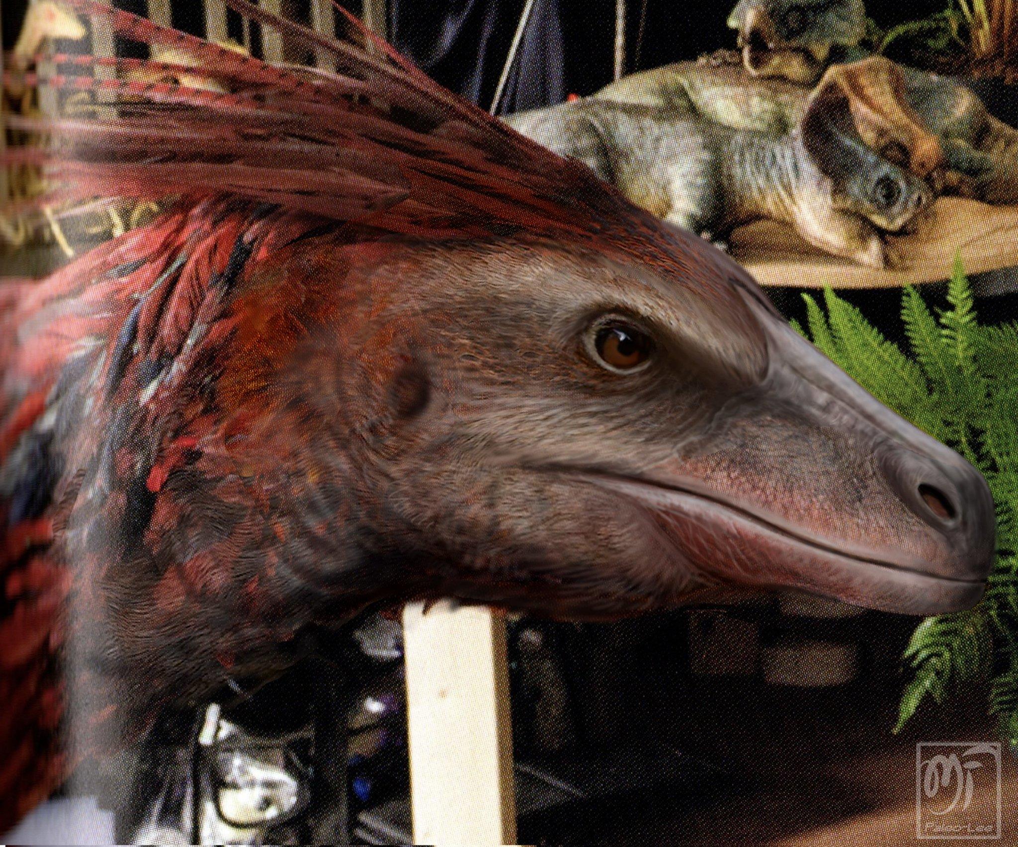 Pyroraptor edit | Jurassic Park | Know Your Meme