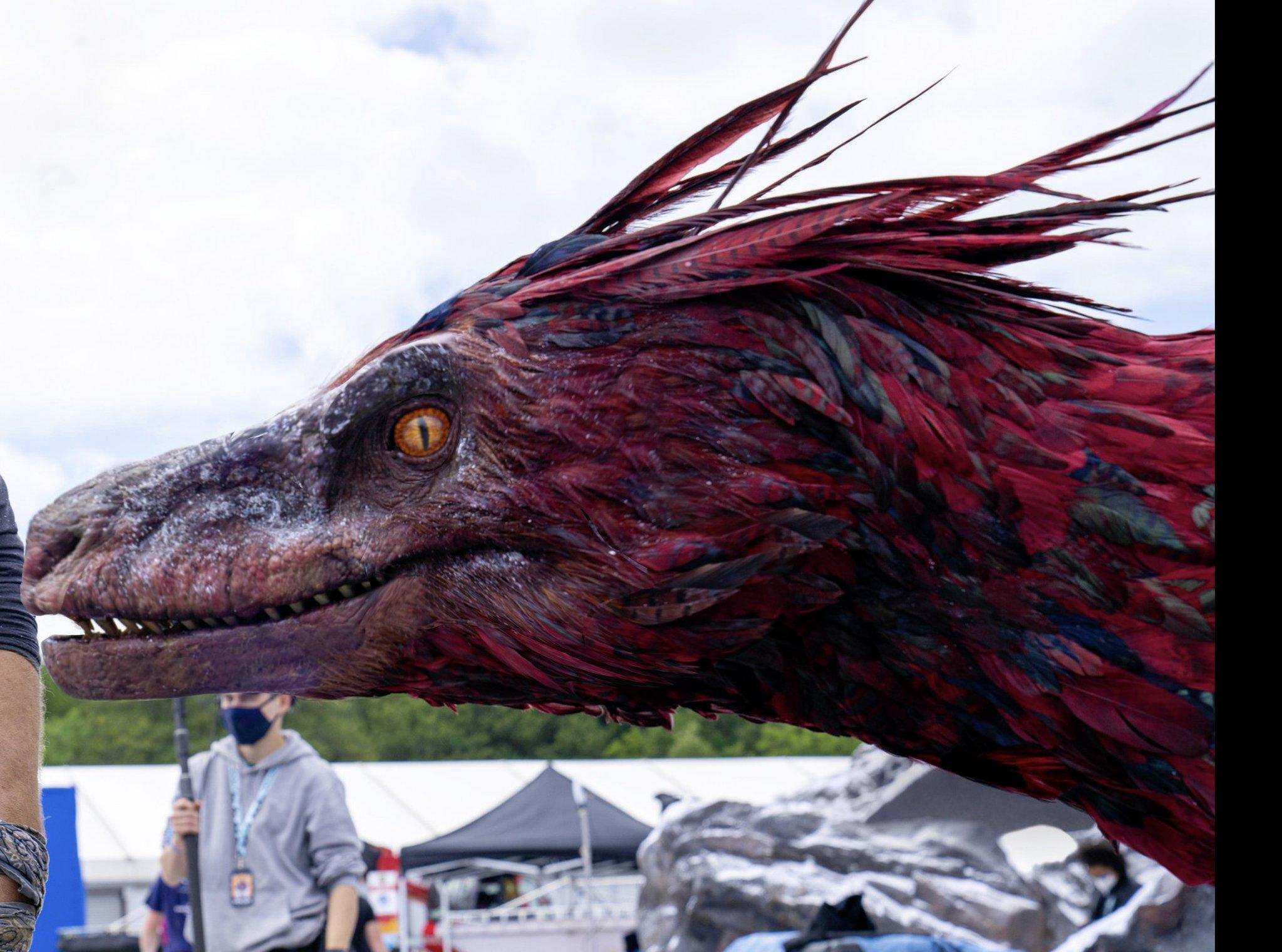 Pyroraptor edit | Jurassic Park | Know Your Meme