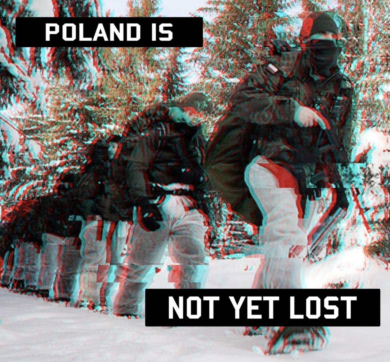 Polish forces train in guerrilla tactics in case of Russian occupation ...