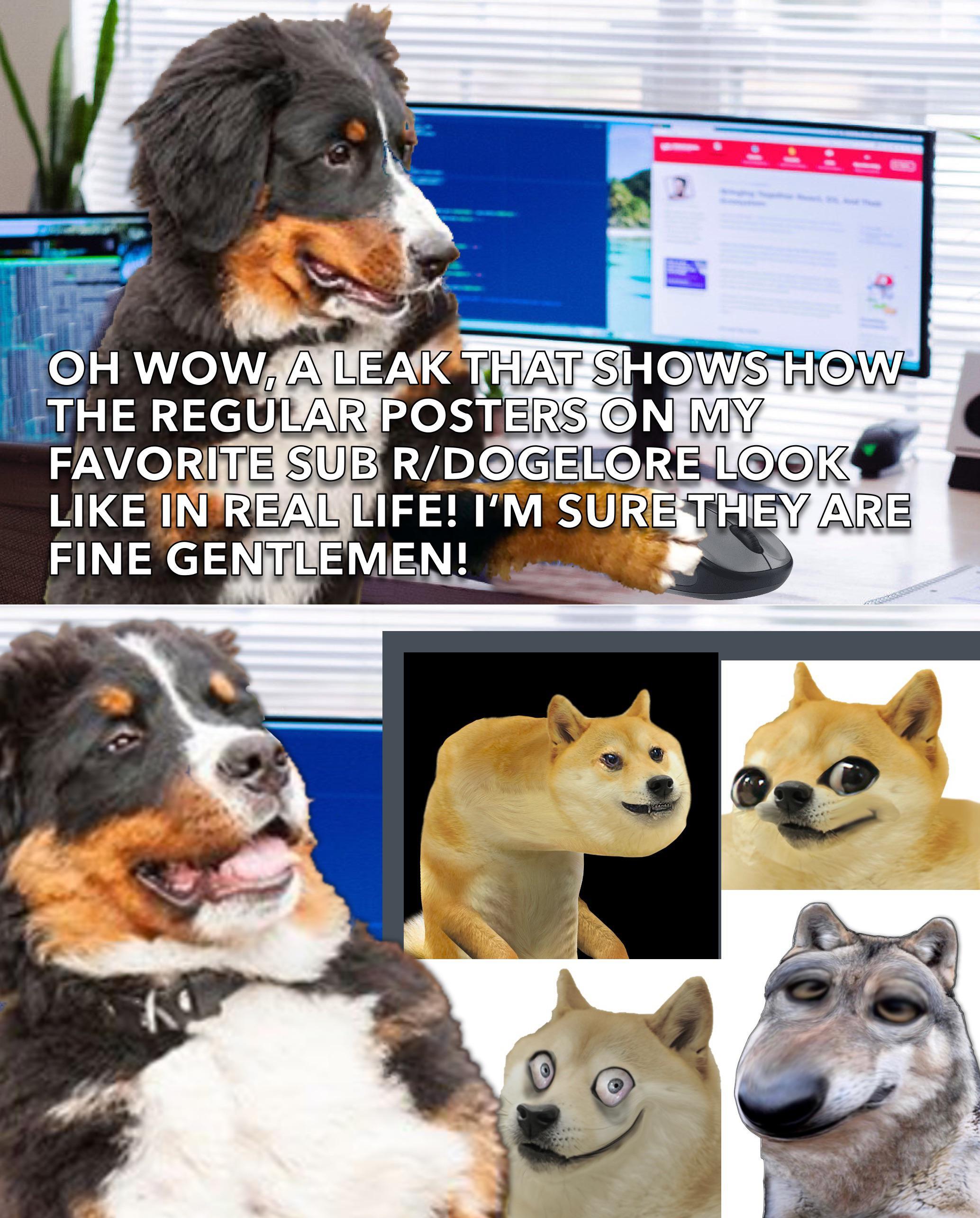 Le sad truth has arrived | /r/dogelore | Ironic Doge Memes | Know Your Meme