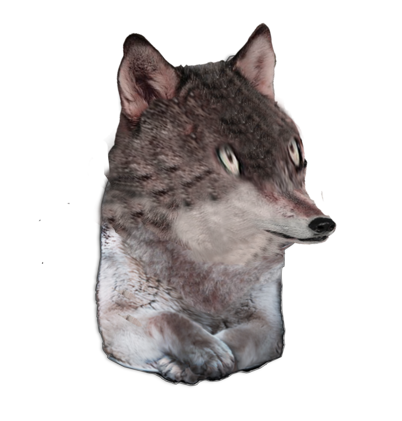 Le Female Wlof Has Arrived | /r/dogelore | Ironic Doge Memes | Know ...