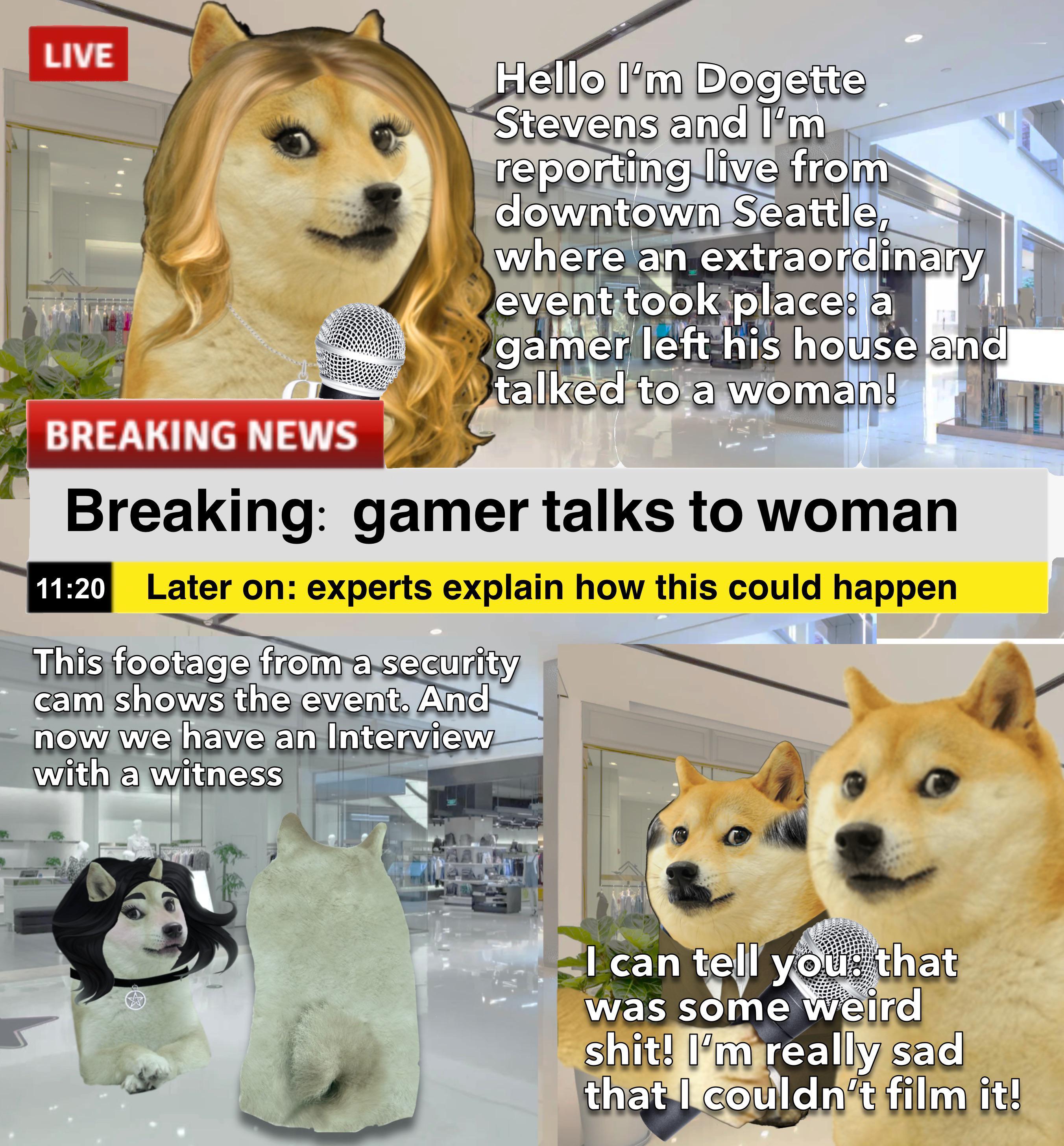 Le breaking news has arrived | /r/dogelore | Ironic Doge Memes | Know ...