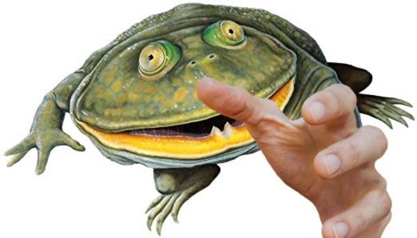 Ì̷̤t̴̼̆ ̵̰̎ī̶̧s̵̛̞ ̵̟́t̷̼̓i̸͖̍ṃ̶̕e̵͓̓ ̸́ͅṱ̴̚ő̴̺ ̸̓͜s̷̯̔u̴̻̐r̸͕̊r̵̭ ...