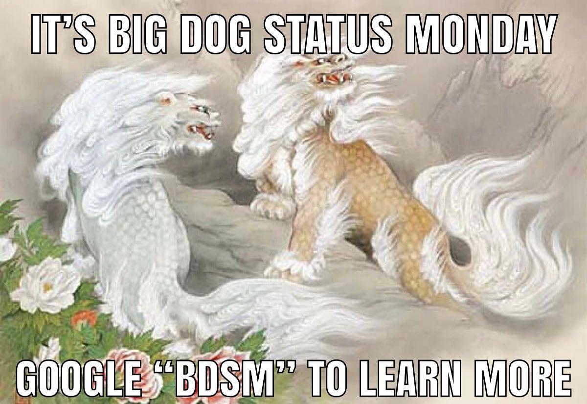 guess what day it is? | Big Dog Status | Know Your Meme