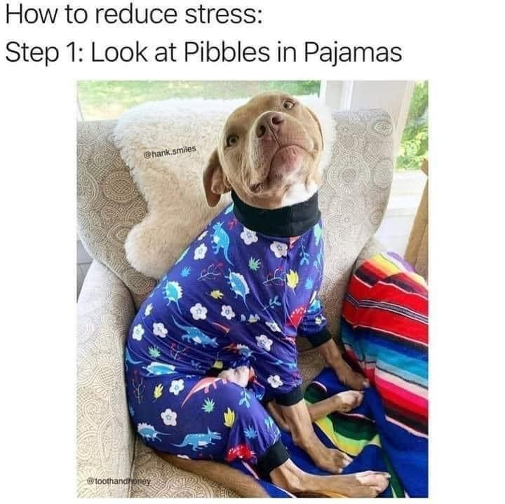 I wanna cuddle it | /r/wholesomememes | Wholesome Memes | Know Your Meme