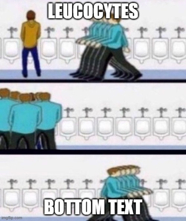 deadass | /r/okbuddyretard | OkBuddyRetard | Know Your Meme