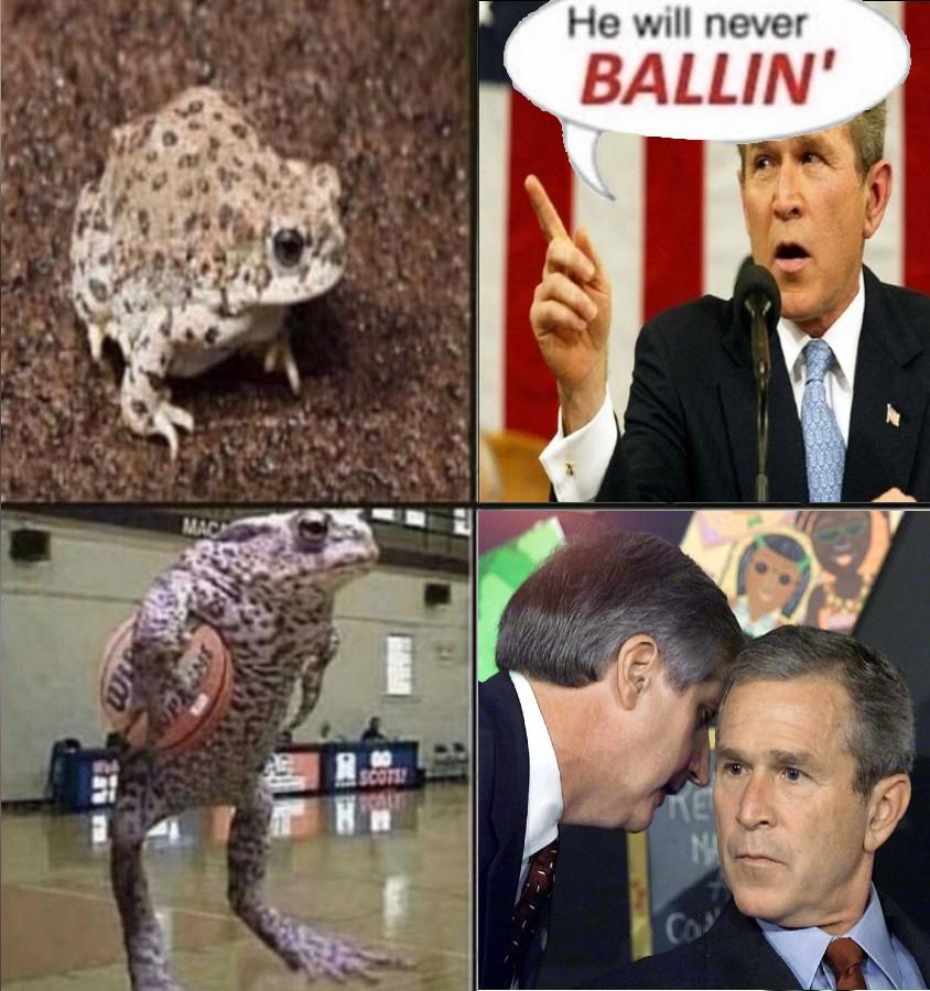 George Bush Learning That The Frog, In Fact, Is Balling | George Bush ...