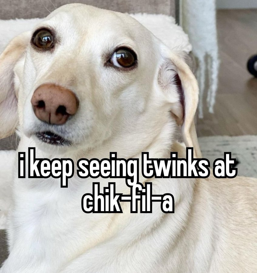 i keep seeing twinks at chick fil a | Homophobic Dog / Not Too Fond Of ...