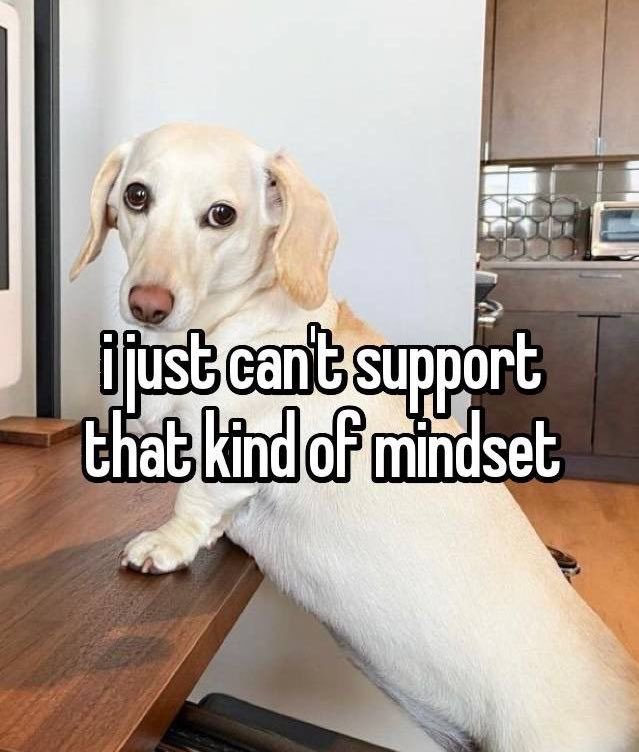 i just can't support that kind of mindset | Homophobic Dog / Not Too ...