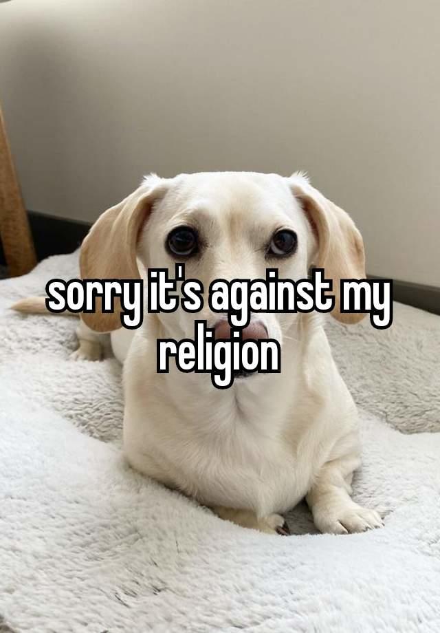 sorry it's against my religion | Homophobic Dog / Not Too Fond Of Gay ...