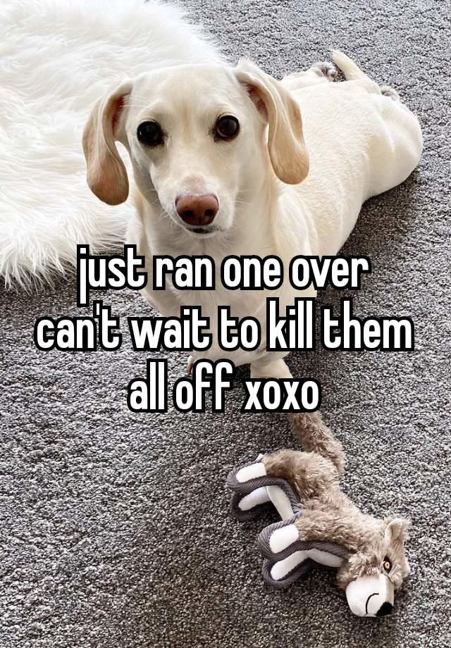 just ran one over can't wait to kill them all off xoxo | Homophobic Dog ...