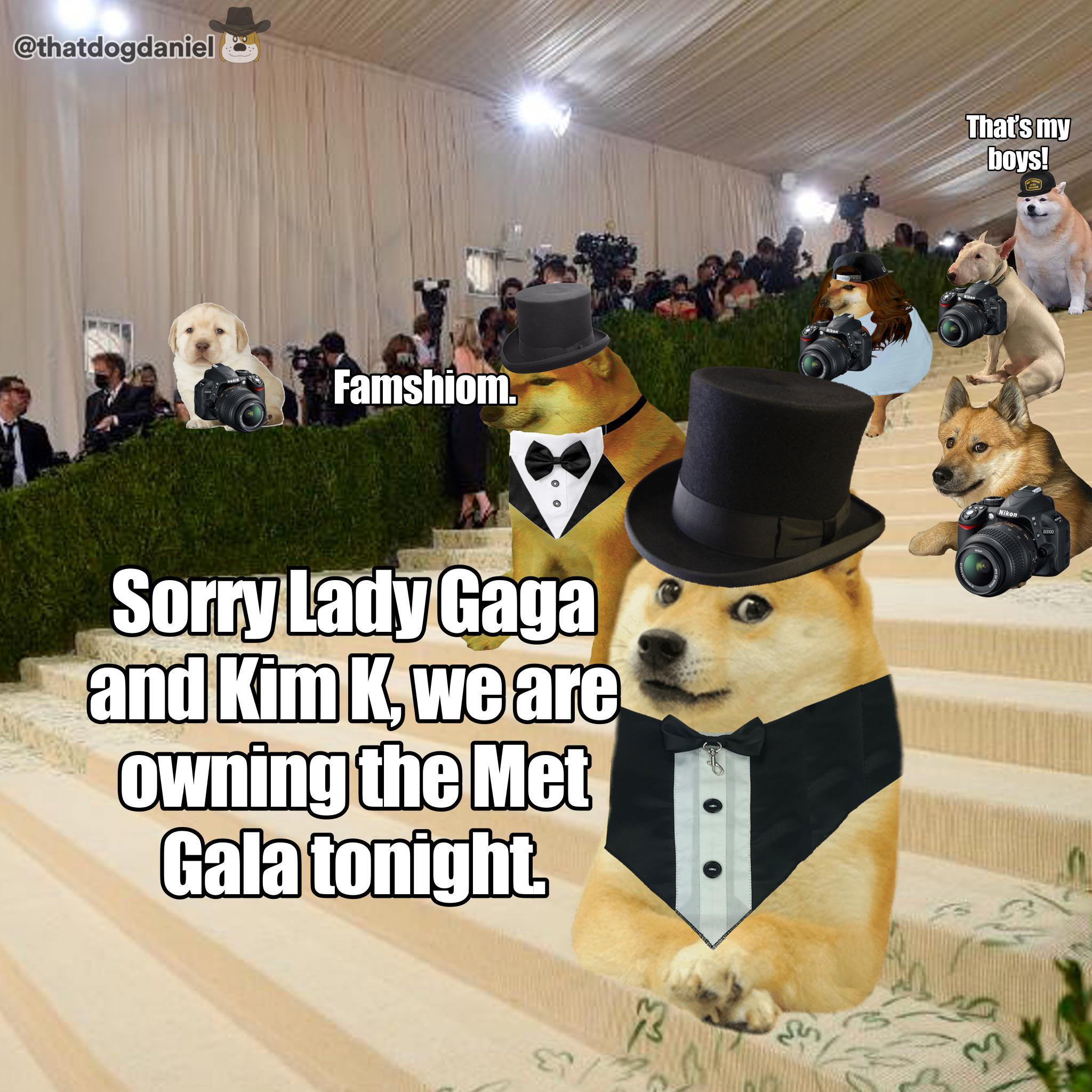 Le Whacky Dogs have arrived to the Met Gala | /r/dogelore | Ironic Doge ...