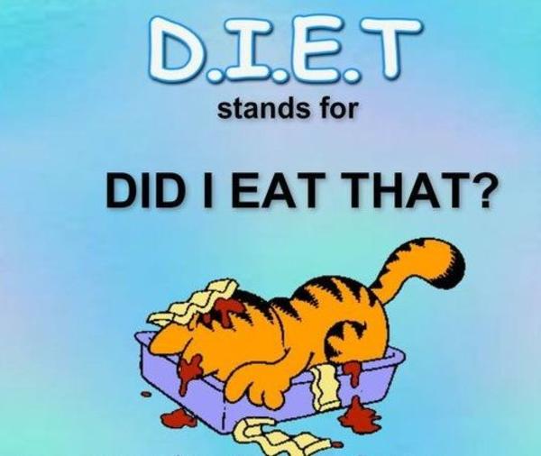 I use the Diet when I am hungry on refrigerator xd | Garfield | Know ...