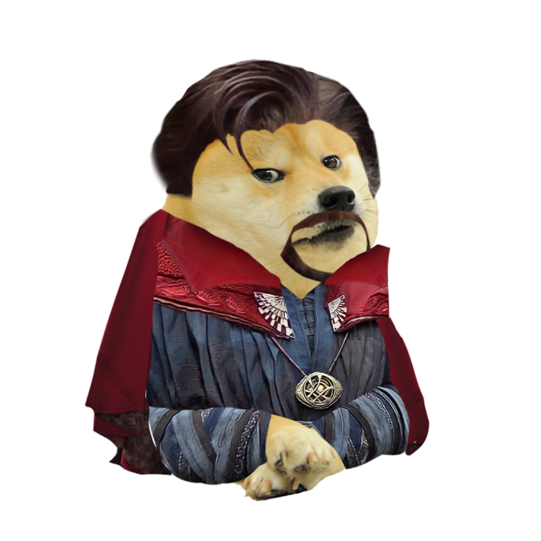 Le Doctor Strange has arrived | /r/dogelore | Ironic Doge Memes | Know ...