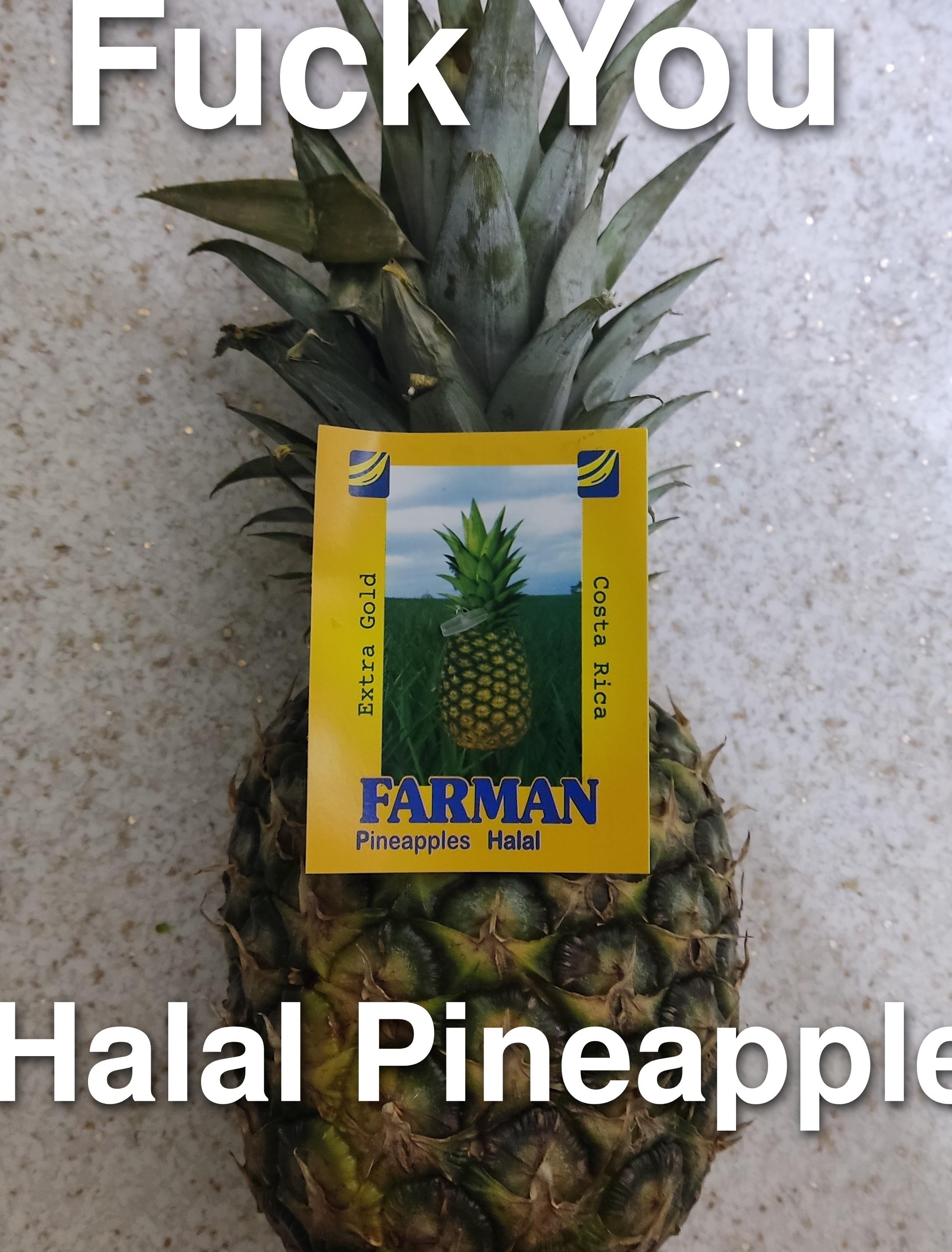 No Haram only Halal | /r/okbuddyretard | OkBuddyRetard | Know Your Meme