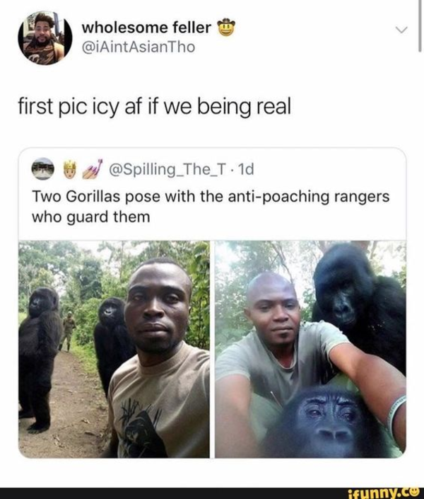 Well they are approachable | /r/wholesomememes | Wholesome Memes | Know ...