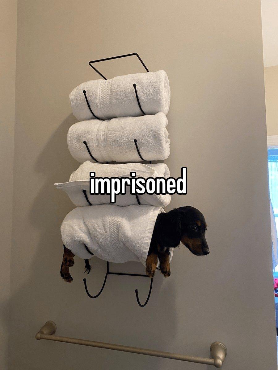 Imprisoned | Dogs | Know Your Meme