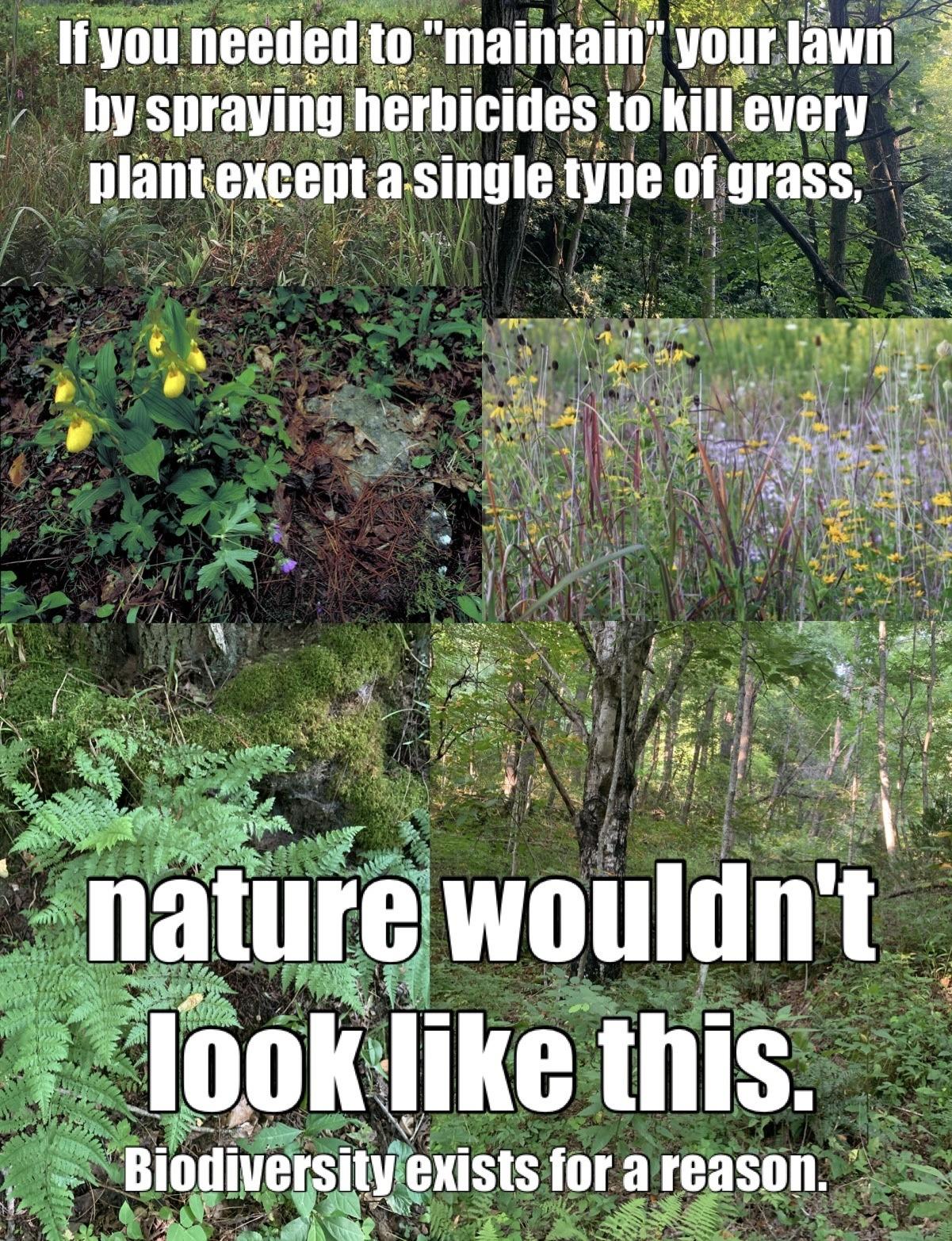 Biodiversity in Action | Anti-lawn Memes | Know Your Meme