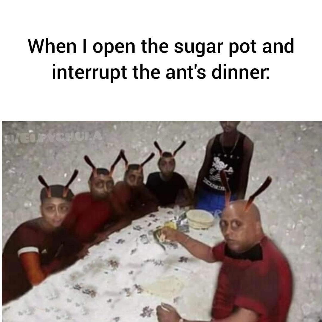 Sorry to interrupt | Know Your Meme