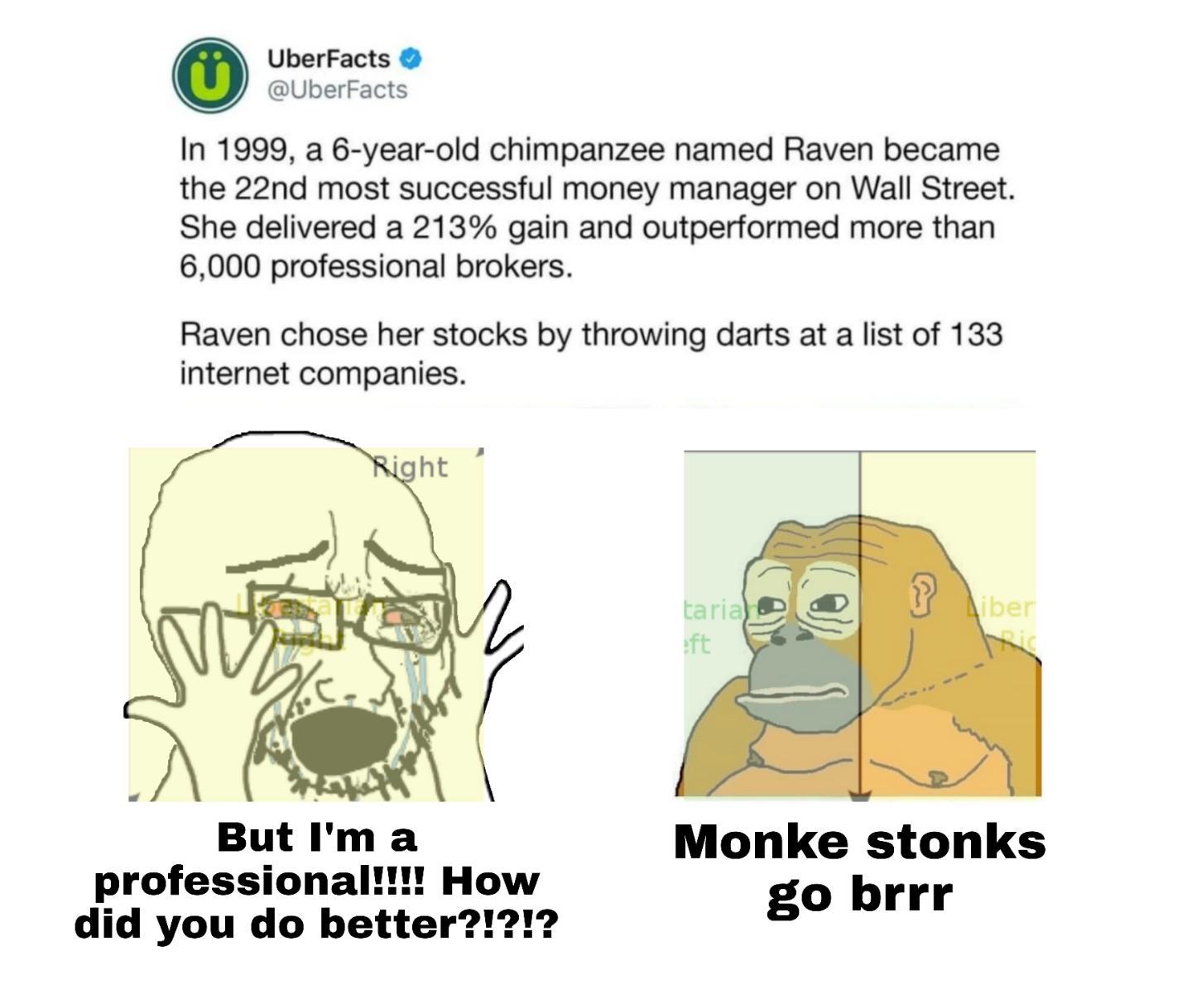 Monke Stonks | /r/PoliticalCompassMemes | Political Compass | Know Your ...
