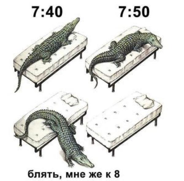"F*** I should be there at 8" | Know Your Meme