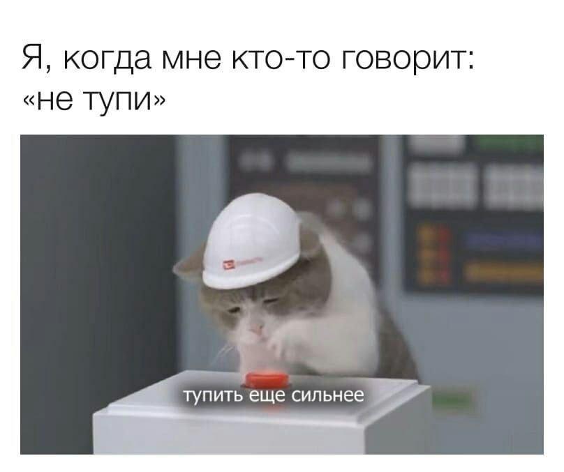 Self Destructive Behavior | Know Your Meme