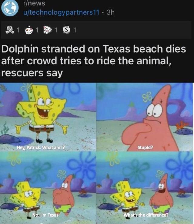 Oh, Texas | SpongeBob SquarePants | Know Your Meme