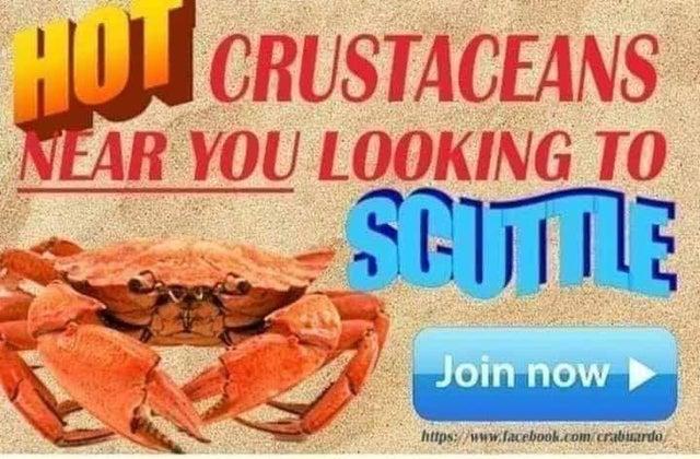 Scuttle Scuttle | Know Your Meme