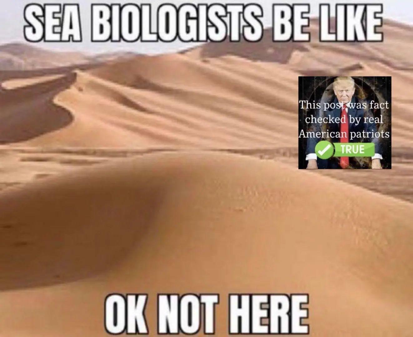 sea biologists be like | This Post Was Fact Checked By Real American ...