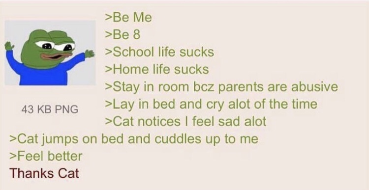 Cat cuddles with anon | /r/Greentext | Greentext Stories | Know Your Meme