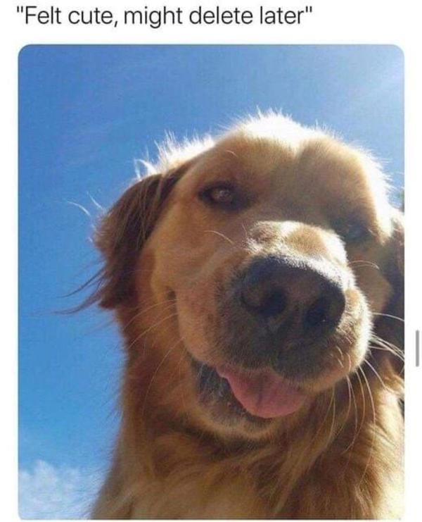 Feeling good like I should | /r/wholesomememes | Wholesome Memes | Know ...