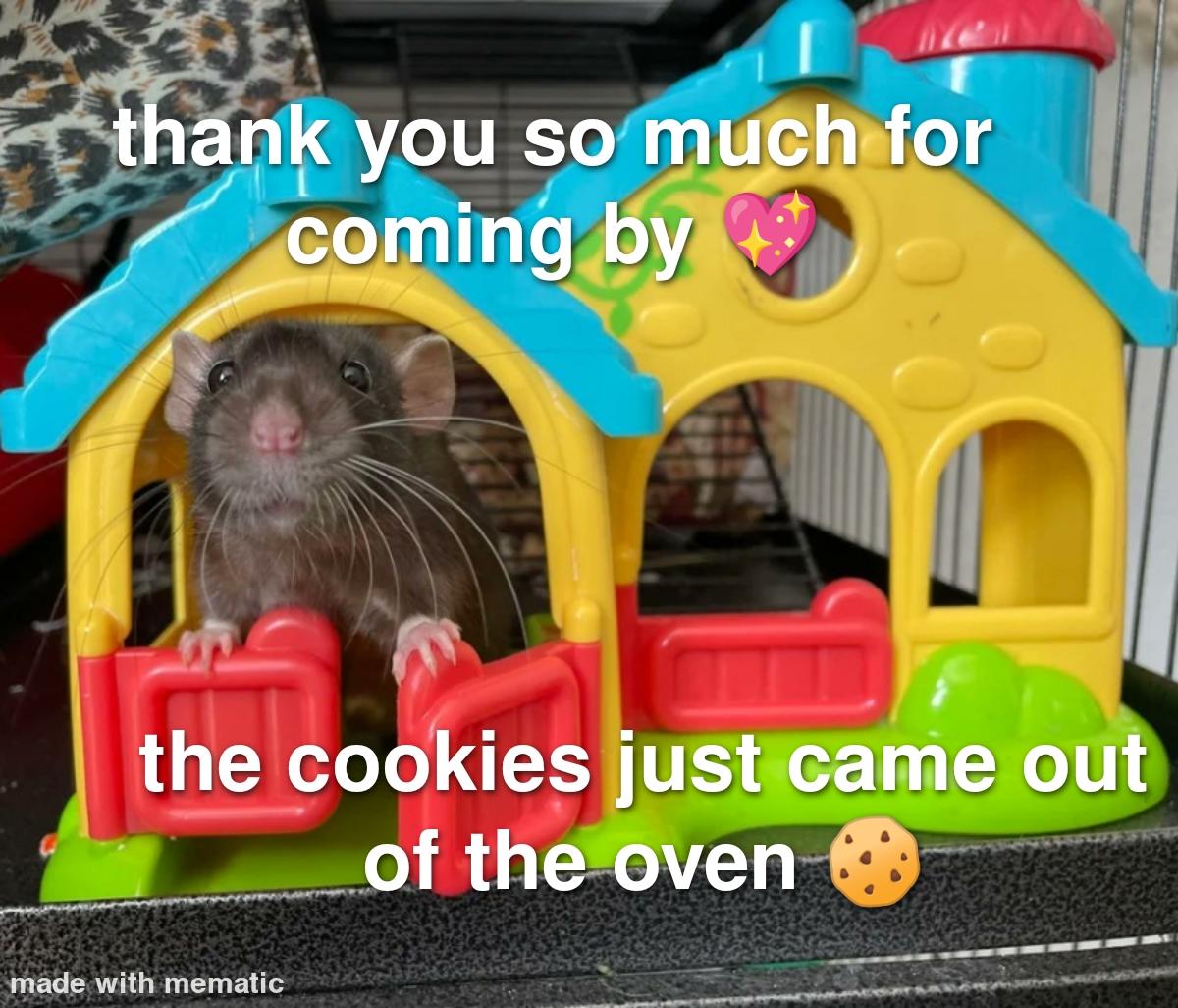 wholesome cheddar eater | /r/wholesomememes | Wholesome Memes | Know ...