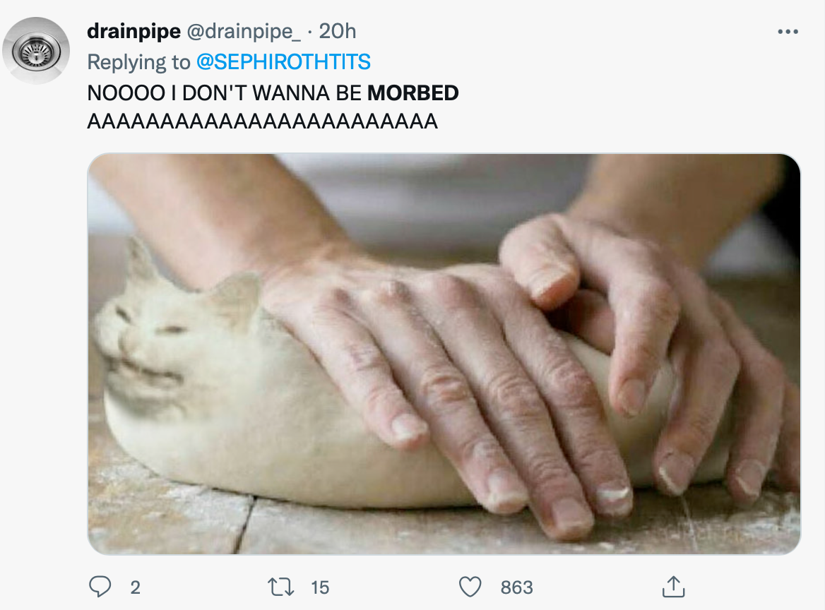 Knead Morb | Morb | Know Your Meme