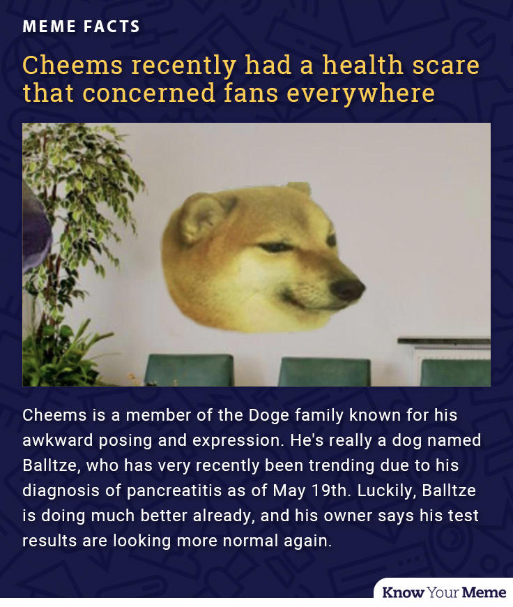 Cheems | Know Your Meme