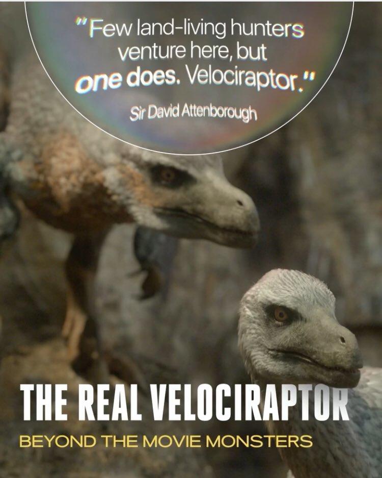 The real velociraptor | Prehistoric Planet | Know Your Meme