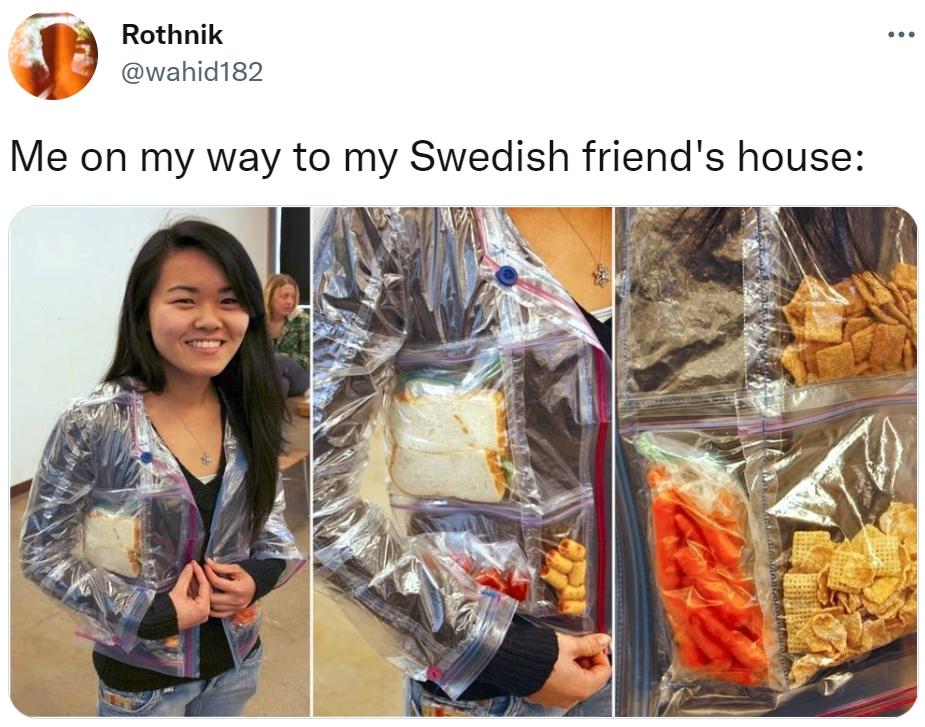 Me on my way to my Swedish friend's house: | Swedish People Don't Feed ...