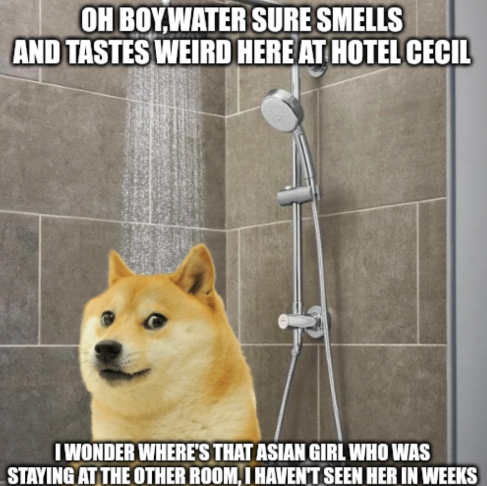 Elisa Lam, for Those Who Don't Know | Know Your Meme