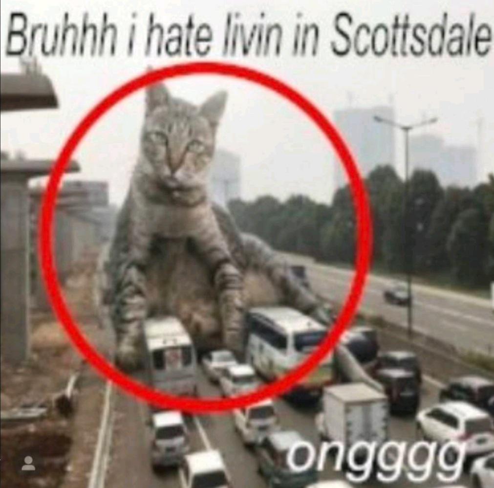 fucit | /r/okbuddyretard | OkBuddyRetard | Know Your Meme