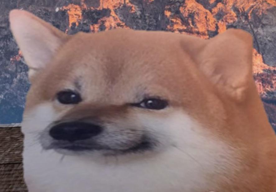 DOGE name? I know it’s cheems body but with this face combo is there a ...