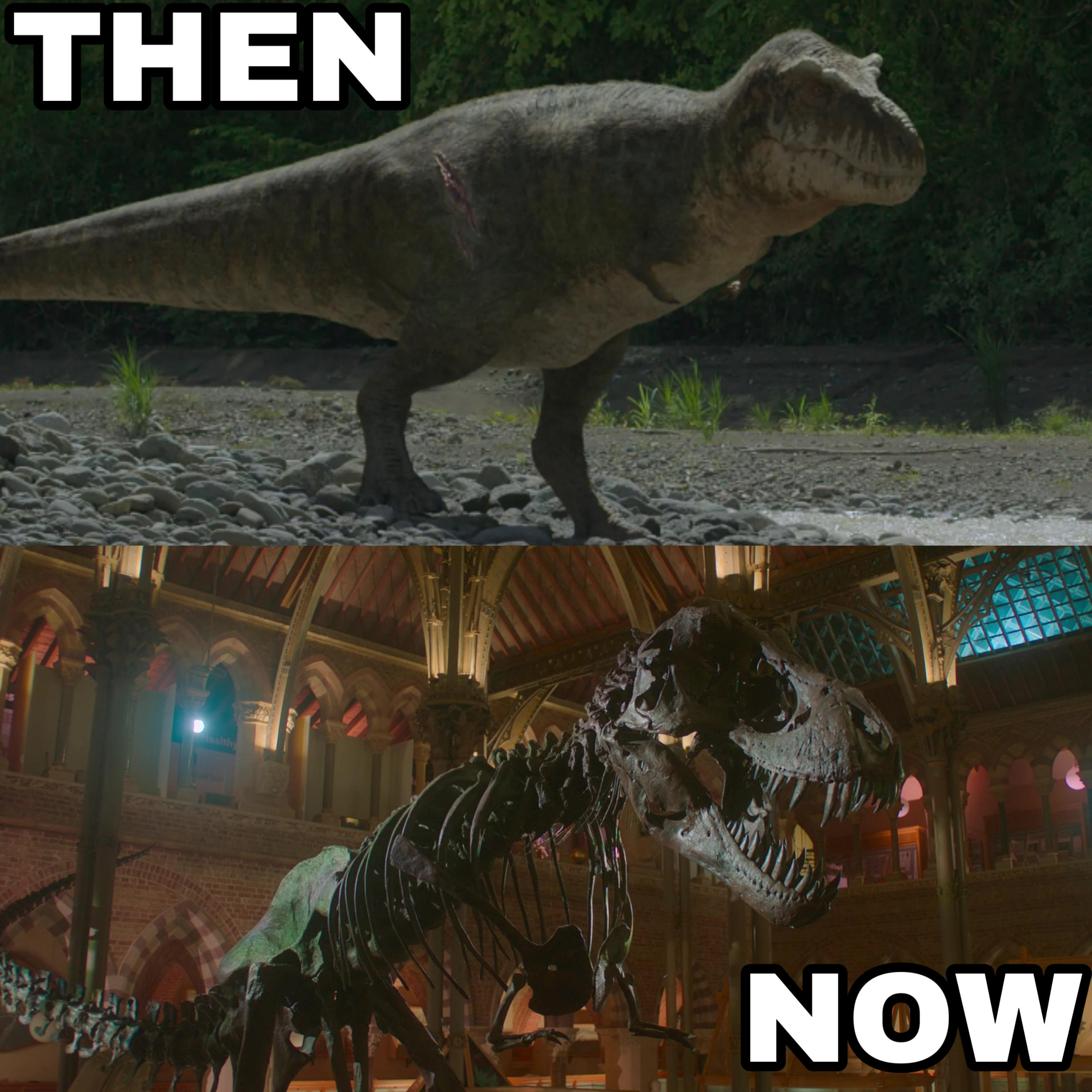 Then and now prehistoric planet | Prehistoric Planet | Know Your Meme