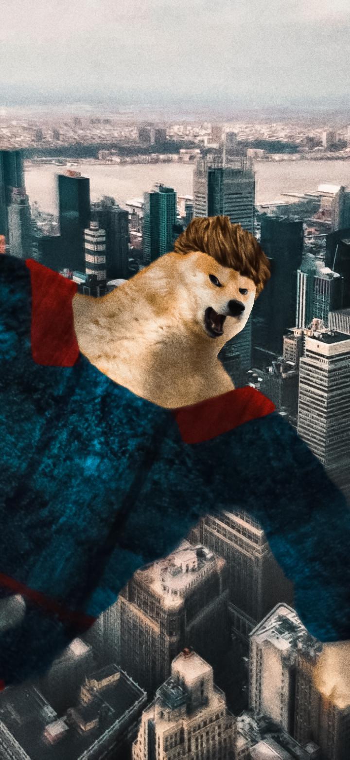 Ah yes | /r/dogelore | Ironic Doge Memes | Know Your Meme