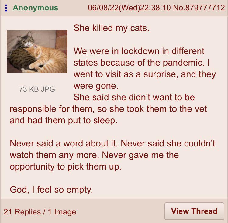 Anon misses his cats | /r/Greentext | Greentext Stories | Know Your Meme