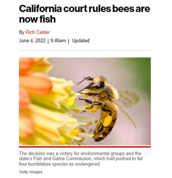 Fish | Know Your Meme