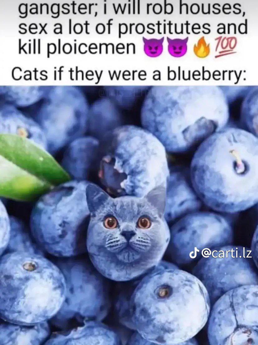 | /r/okbuddyretard | OkBuddyRetard | Know Your Meme