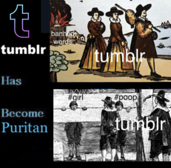 Tumblr has become puritan | X Has Become Catholic | Know Your Meme