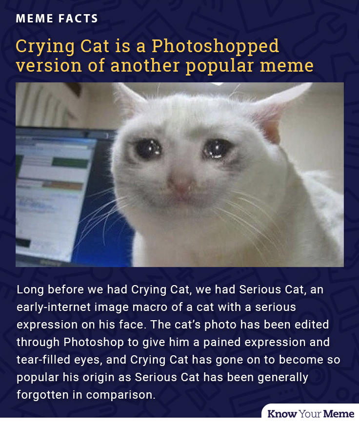 Crying Cat | Know Your Meme