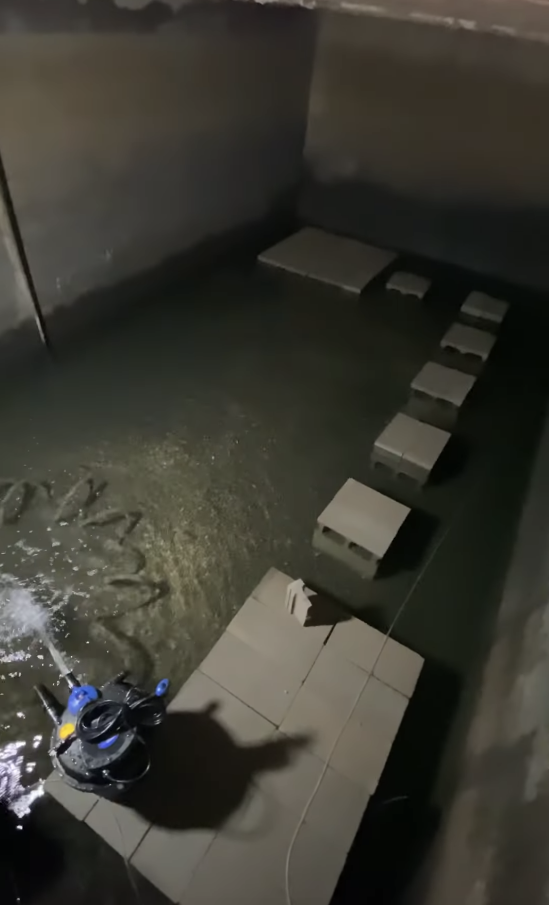 Eel Pit on TikTok (meme) | Eel Pit (TikTok) | Know Your Meme