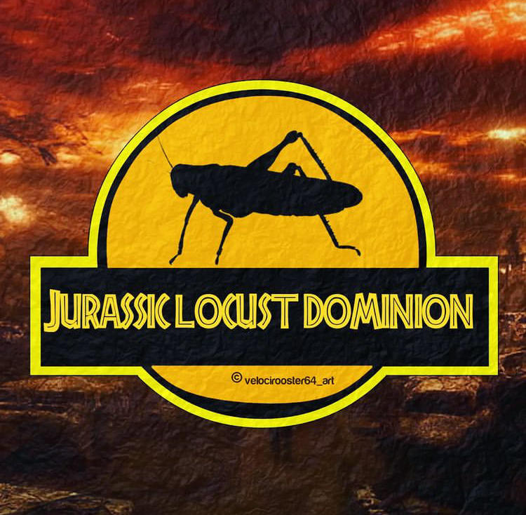 Locust Memes