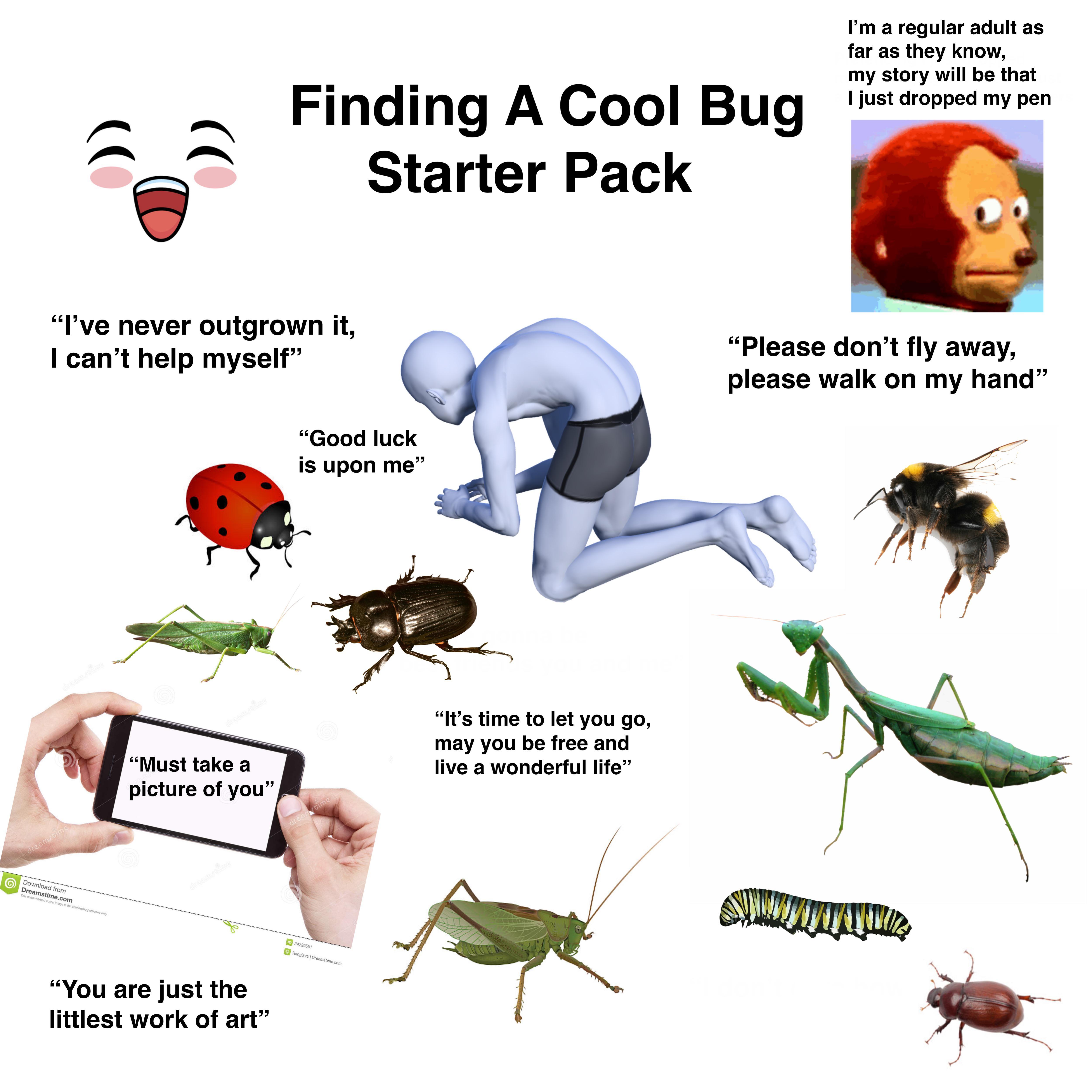 Finding A Cool Bug Starter Pack | /r/starterpacks | Starter Packs ...