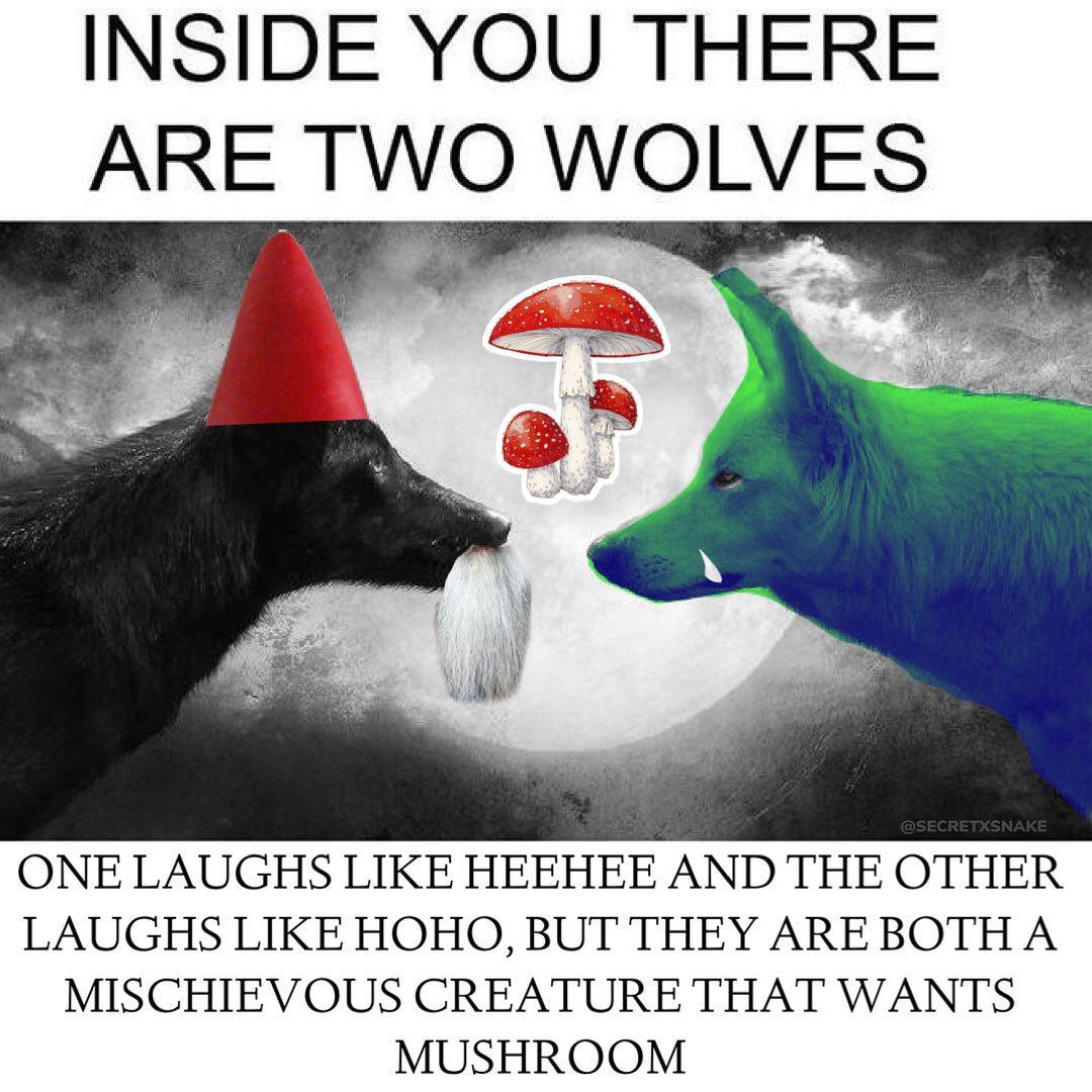 Inside You There Are Two Wolves | Gnomepill | Know Your Meme